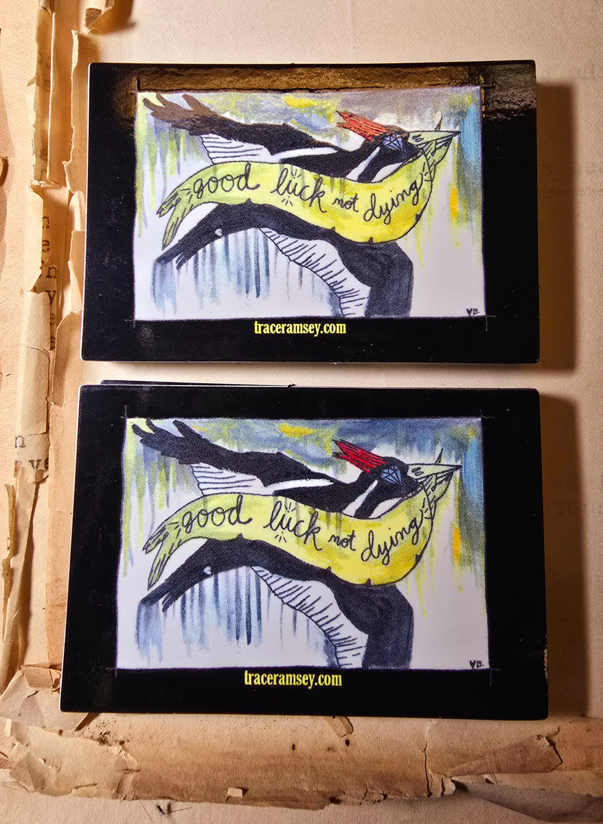 "Good Luck Not Dying" Sticker – Bread & Roses Press